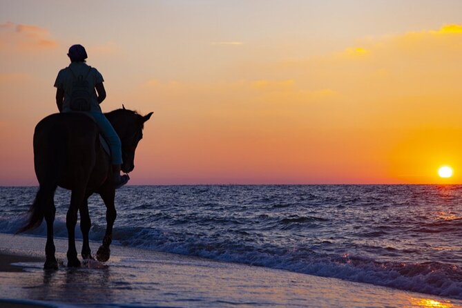 Antalya Horse Riding On Beach And Through The Forests For 2 Hours - A Closer Look at the Experience