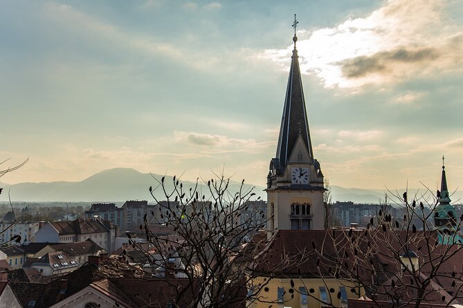 Architectural Ljubljana: Private Tour with a Local Expert - Practical Tips for Your Tour