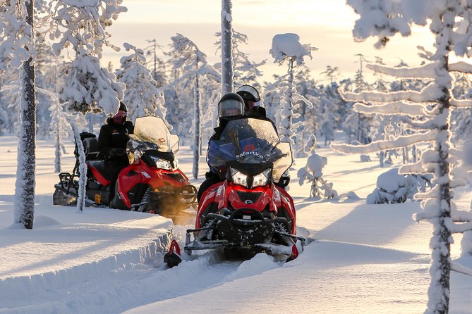 Arctic Delight - Visit to Santa's Village and snowmobiling to reindeer farm - Frequently Asked Questions