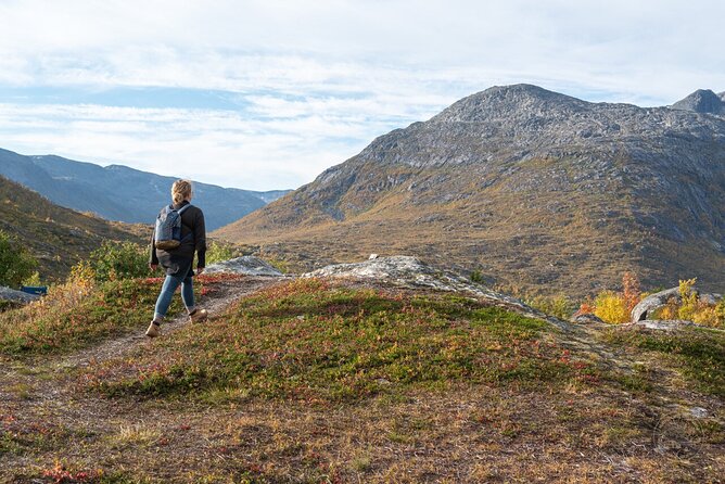 Arctic Roadtrip: fjords with scenic picnic | Small group 4x4 Van - Who Will Love This Tour?