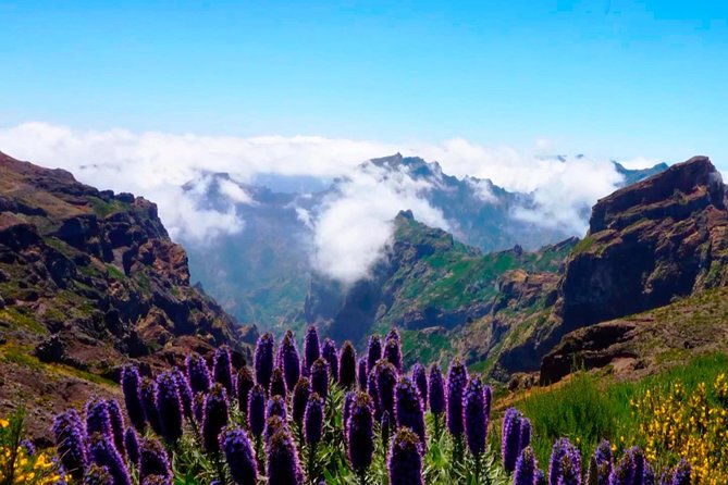 Arieiro Peak, Santo da Serra and Cristo Rei 4x4 Experience - Transportation, Group Size, and Overall Value