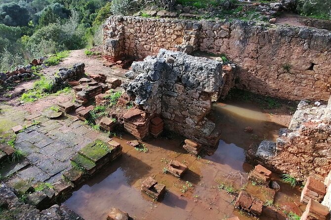 Arrábida: Beach, Nature & History - The Guide: A Key Element of the Experience