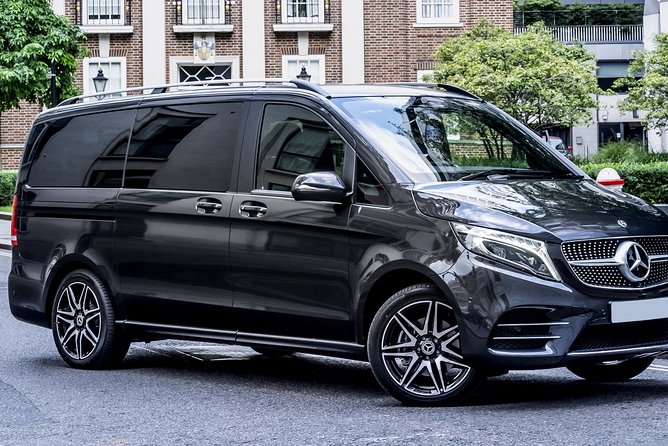Arrival Private Transfer: EuroAirport (BSL MLH EAP) to Basel in Luxury Van - Vehicle Comfort and Safety