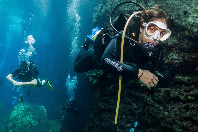 Athens Scuba Diving Experience for Certified Divers with pick up - Critical Perspectives and Considerations