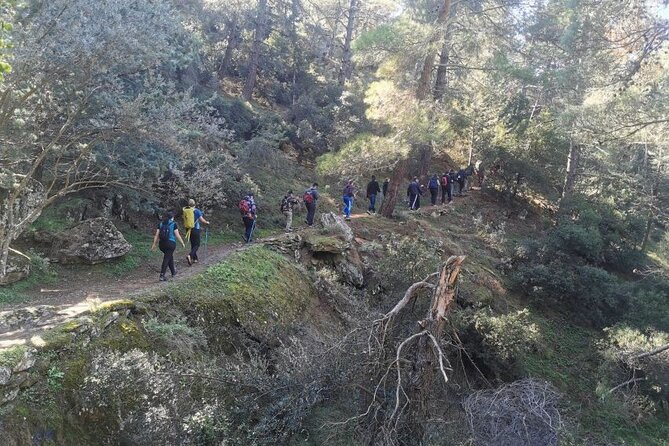 Athens Sunset Hymettus Mountain Hike - Practical Tips for Your Hike