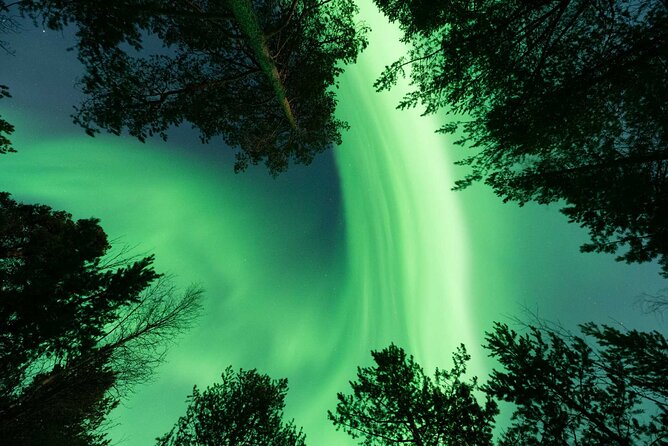 Aurora Hunt with Professional Photographer from Alta - The Photography Element: A Game Changer