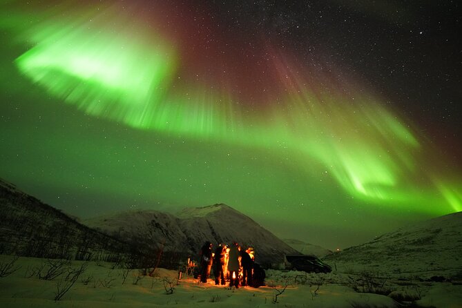 Aurora Tour - Final Thoughts: Is This Tour Right for You?