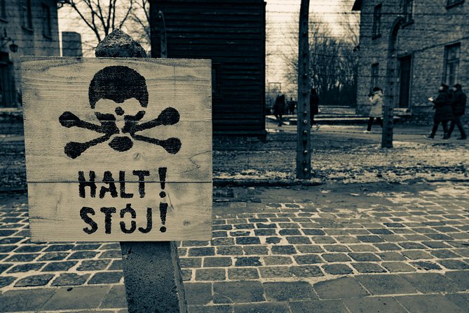 Auschwitz-Birkenau and Wieliczka Salt Mine Day Tour from Krakow with private car - Final Thoughts