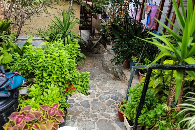 Authentic Gourmet Tour with Wine and Food Tasting from Paphos - What the Reviews Say