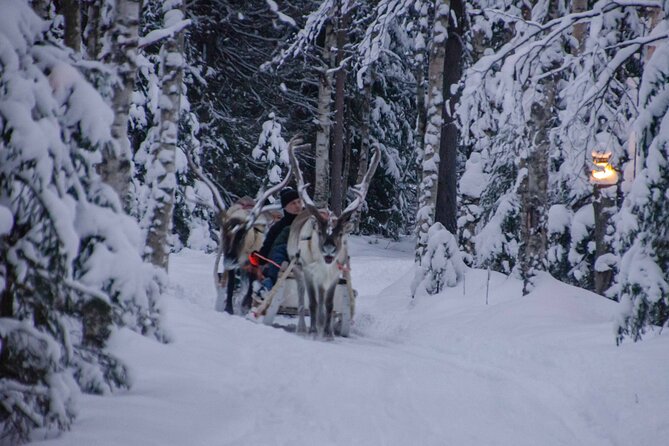 Authentic Reindeer Farm Experience in Rovaniemi - FAQ