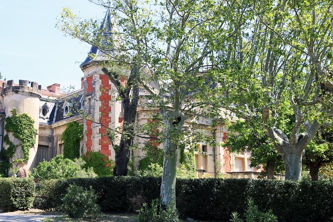 Avignon's history, local culture & the wines of Châteauneuf du Pape private tour - Who Will Love This Tour?