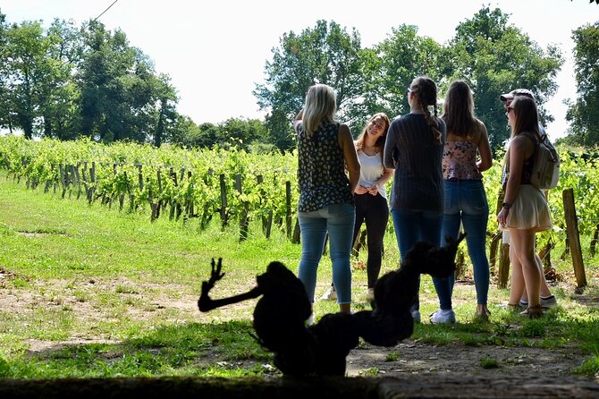 Backcountry E-Bike Adventure from Bordeaux: Wine Tasting & Lunch - Value and Pricing Analysis