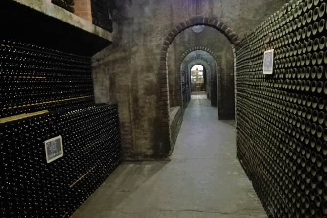Bairrada Winery Route, full-day from Coimbra - Who Will Appreciate This Tour?