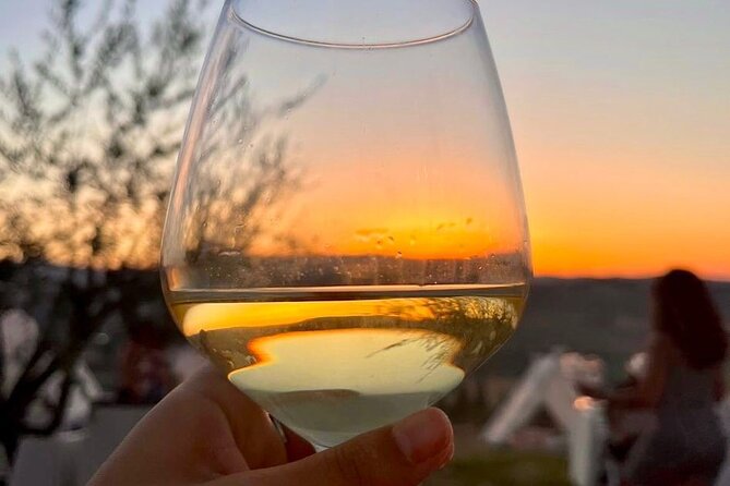 Balestrate Olive Grove Tour: Wine and Olive Oil Tasting - Who Will Love This Tour?