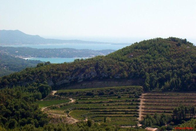 Bandol Wine Tour - 4 hour Private tour - Frequently Asked Questions