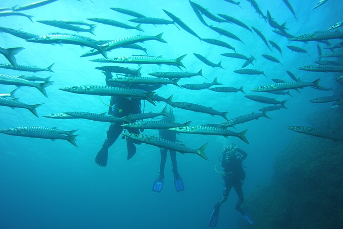 Baptism in the Northern Marine Reserve of Menorca - Authentic Experiences and Genuine Feedback