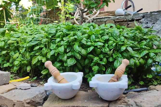BarCa Winery Cinqueterre Trekking & Wine Tasting & Pesto Class - Wrapping It Up: Who Should Consider This Tour?