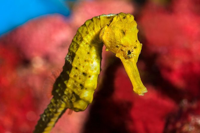 Barcelona Aquarium Skip the Line Ticket - What You’ll See Inside