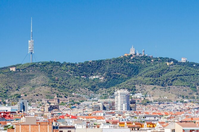 Barcelona Private Tour to Tibidabo Mountain - Transportation and Comfort