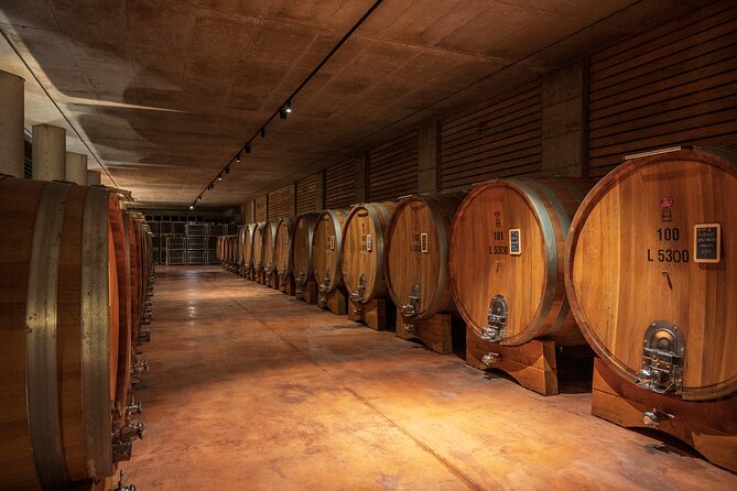 Barolo Wine Tour - Authentic Wineries and Cultural Highlights