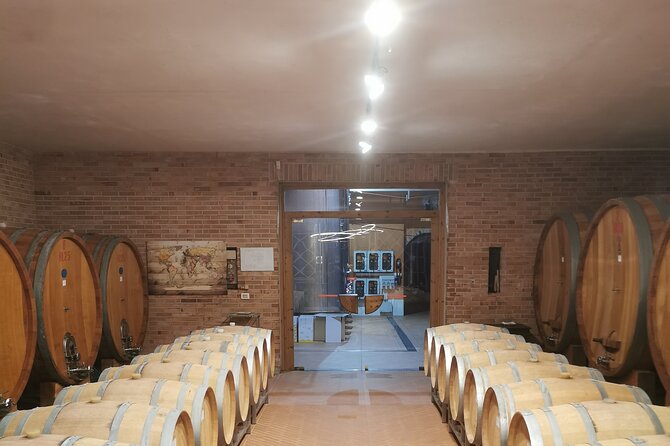 Barolo&Barbaresco wine tour with a local winemaker from Asti - Final Thoughts: Who Will Love This Tour?