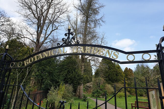 Bath - (4 hours) Extended Walking Tour - Blue Badge guide - Who Should Consider This Tour?