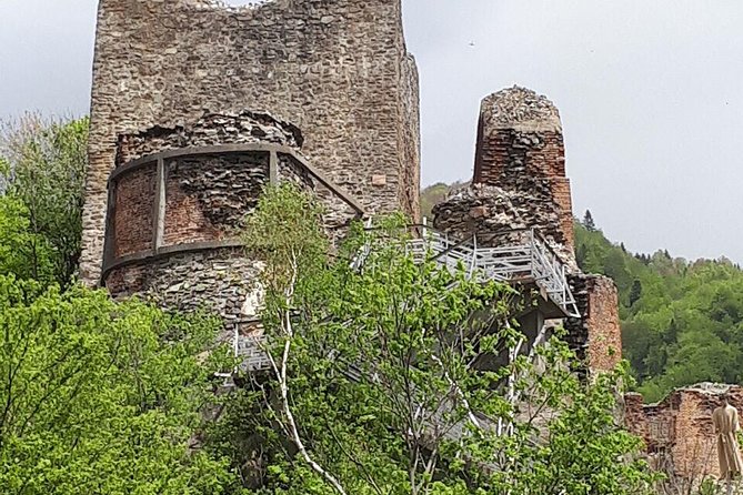 Bears Sanctuary, Dracula's Castle, Brasov Day Trip Private Tour from Bucharest - Who Should Consider This Tour?