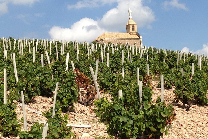 Beaujolais Crus Wines & Castles (2:00 pm - 6:30 pm) - Small Group Tour from Lyon - Who Will Love This Experience?