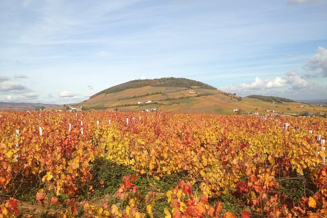 Beaujolais Crus Wines & Castles (9:00 am - 1:30 pm) - Small Group Tour from Lyon - Final Thoughts