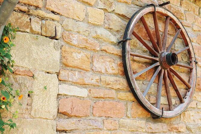 Beaujolais wine tour from Lyon half day - Guides and Group Size