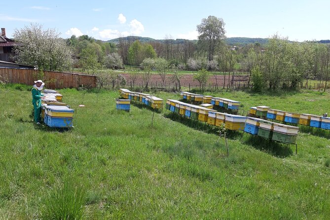 Beekeeping Day Trip| Private Guided Tour from Bucharest - Final Thoughts