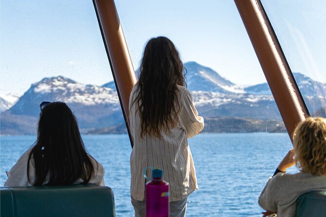 Beiarfjord & Saltstraumen Cruise with Guide - Summary: Is It Worth It?