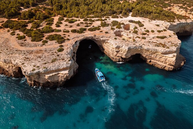 Benagil Caves and Dolphin Watching - 2.5h - Navigating the Details: What Travelers Should Know