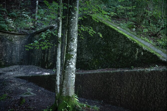 Berchtesgaden-Obersalzberg Private Half Day WWII Historical Tour - FAQs
