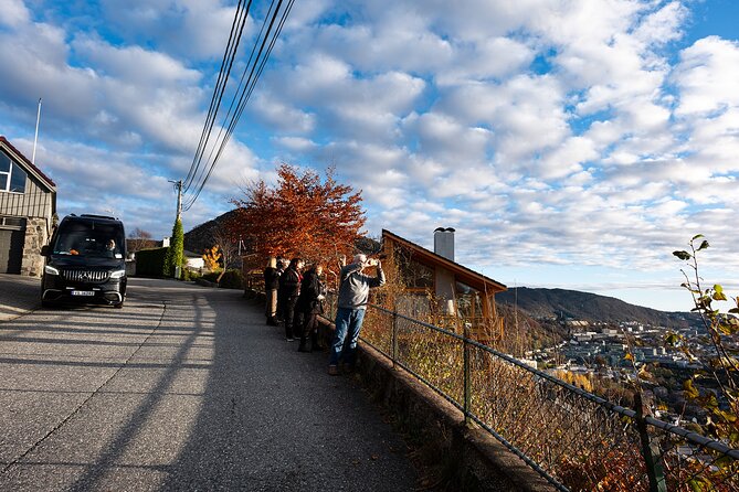 Bergen: Guided Tour by Minibus with Local Guide & Photostops - Who Will Love This Tour?