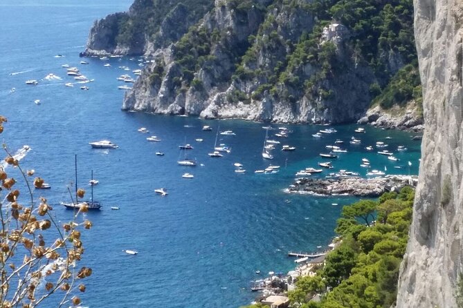 Best Daytrip from Rome to Capri: Deluxe Car, Private Guide & more - Final Thoughts