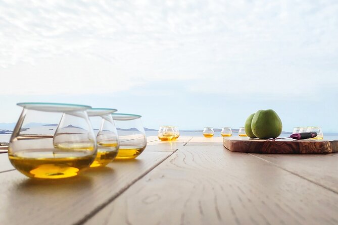 Best Mykonos Olive Oil Tasting - Learn from a world-famous Expert - Who Should Book This Tour?