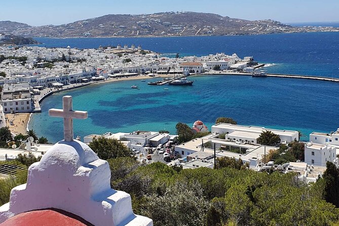 Best Of Mykonos Private Tour - Who Would Love This Tour?