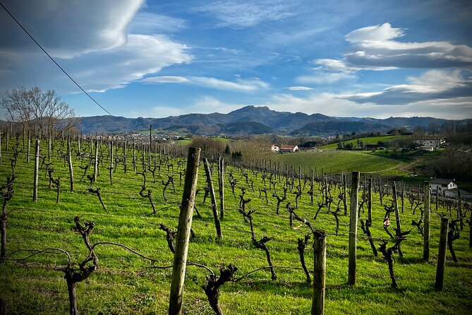 Biarritz: Full day excursion to visit the Basque coast! - Practical Tips for Travelers