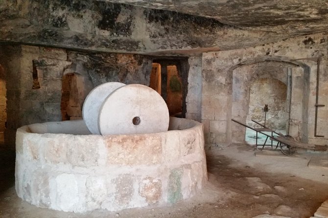 Bike oil tour in Monopoli - Why This Tour Works for Travelers