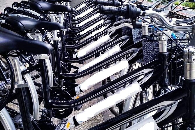 Bike Tour in San Sebastián with FREE pintxo and drink! - Practical Tips for Participants