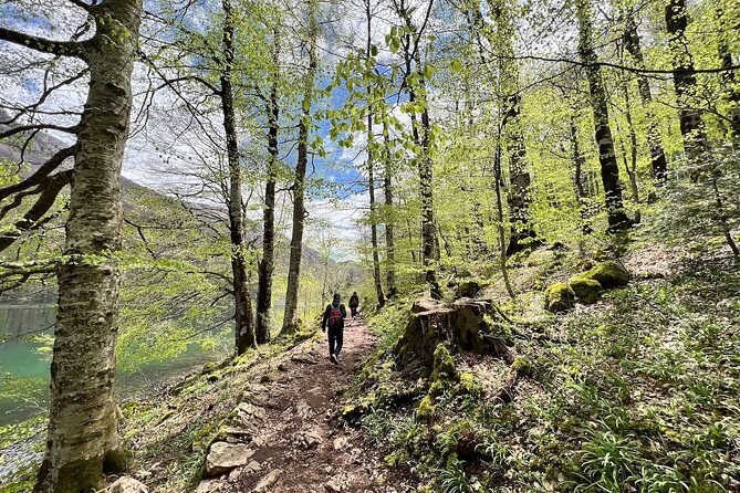 Biogradska Gora National Park Tour with Optional Add-Ons - Who Would Love This Tour?