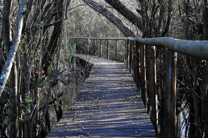 Bird Watching in Albufeira Lagoon - Reviews and Authentic Insights