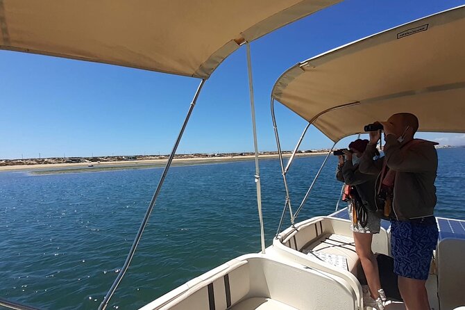 Birdwatching in Ria Formosa - Eco Boat Tour from Faro - The Sum Up