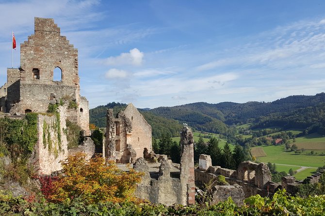 Black Forest Tour by car: Baden-Baden to Freiburg or vice versa - Practical Considerations