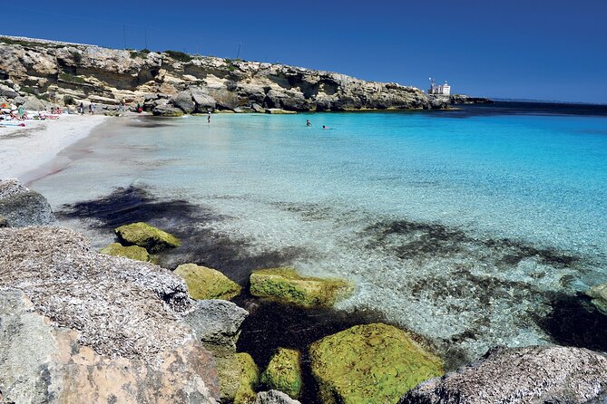 Boat tour Excursion from Trapani to Favignana and Levanzo 8 hours - Practical Details That Matter