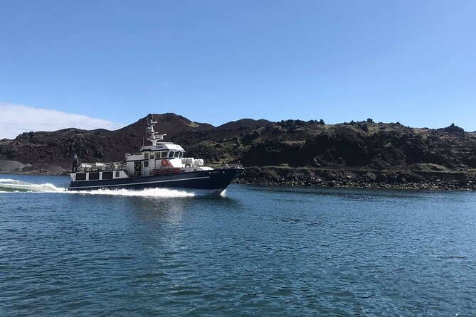 Boat Tour in Vestmannaeyjar - Practical Aspects & What to Expect