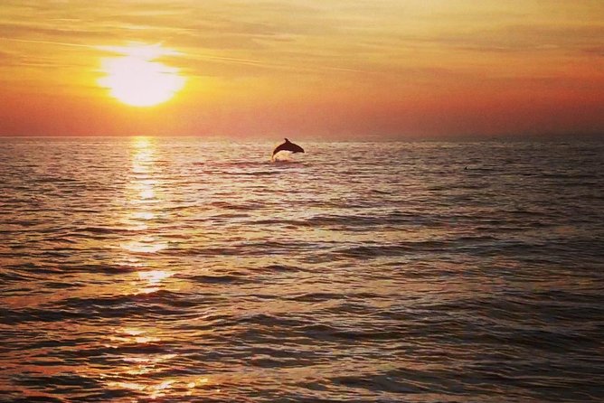 Boat tour swimming snorkeling south Istria Kamenjak Premantura - Practical Details