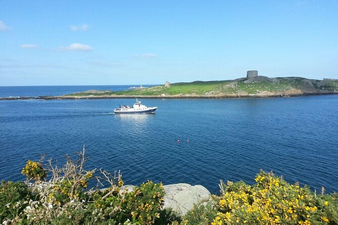 Boat Trip from Dun Laoghaire to Howth - Reviews and Feedback