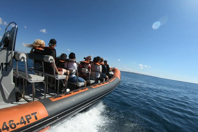 Boat trip to the caves of Benagil - The Value and Experience: Is It Worth It?